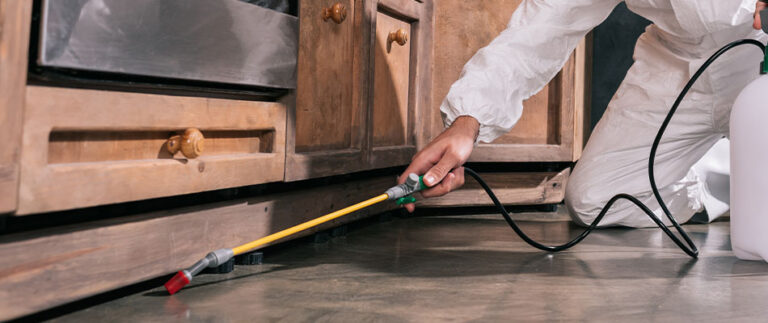 Home Pest Control In Appleton, Green Bay & Bellevue WI
